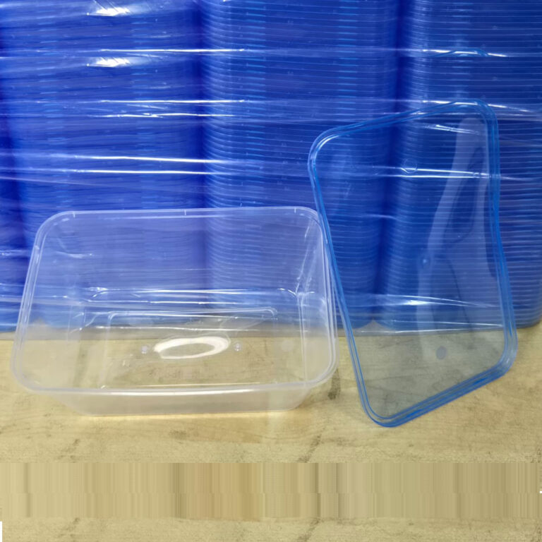 Rectangular Plastic Food Storage Container with Lid | Food Box