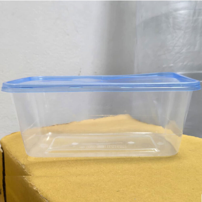 Rectangular Plastic Food Storage Container with Lid | Food Box